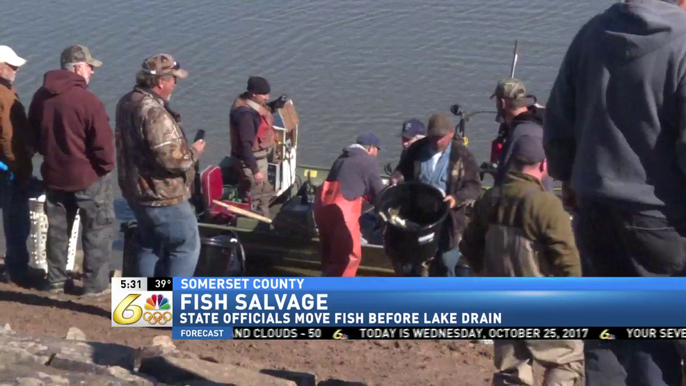 Fish in Somerset Lake being relocated, dam being rebuilt | WJAC