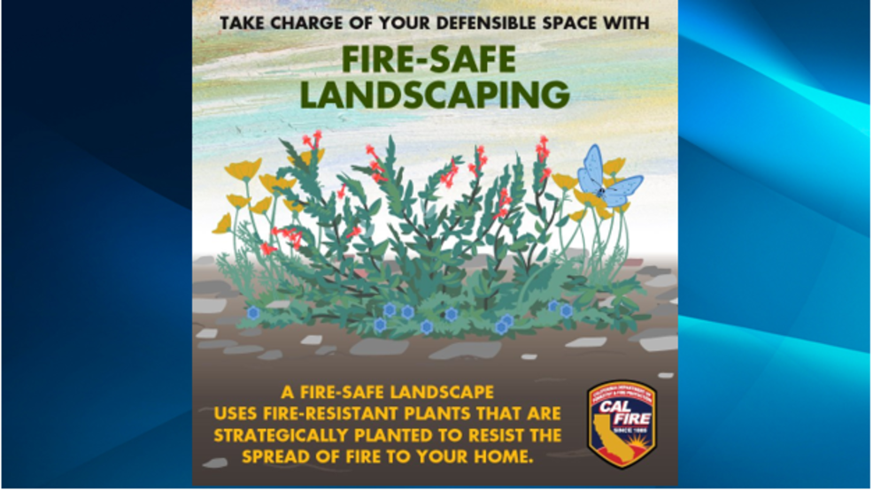 How to use plants to make your home more fire-safe | KRCR