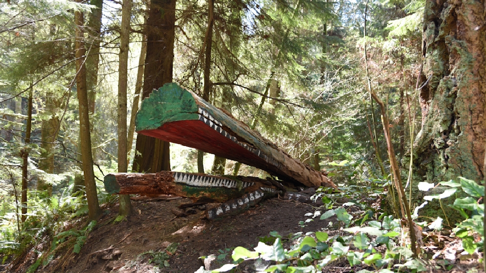 6 Exceptional Seattle Hikes for Spring | Seattle Refined