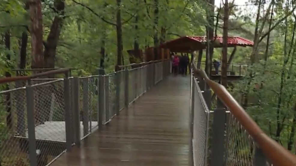 SNEAK PEAK: Midland's Whiting Forest treetop canopy walk | WBSF