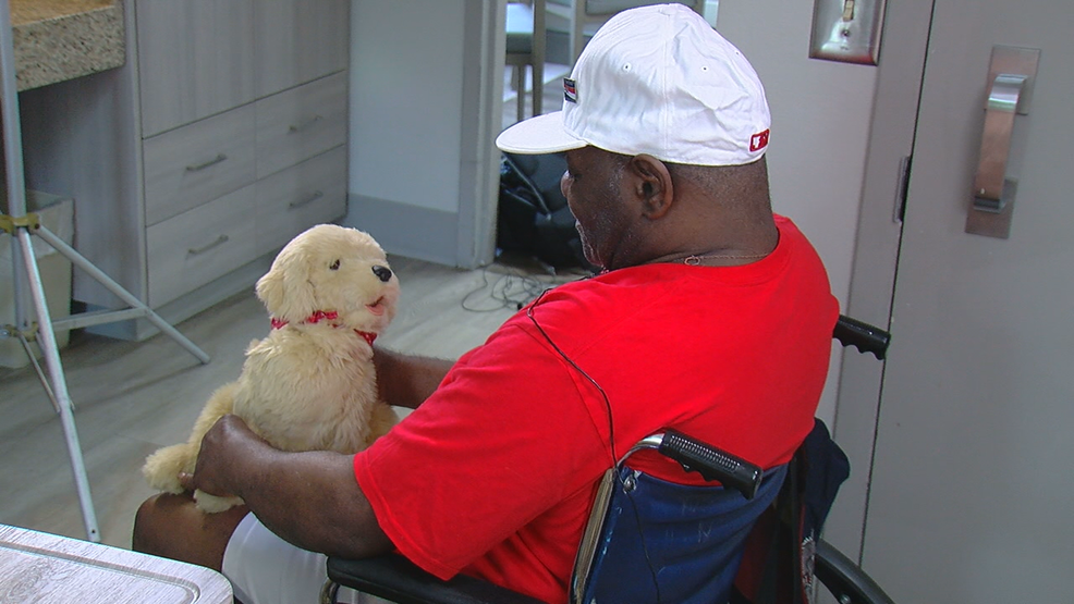 UC students help design robotic pets for seniors | WKRC