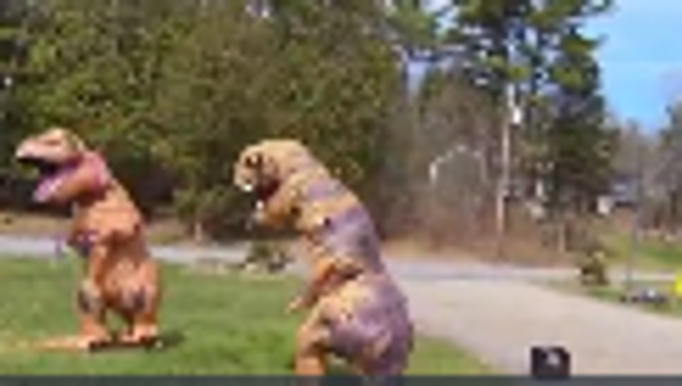 A dancing Corona-saurus Rex delivers root beers in Vermont | WCIV